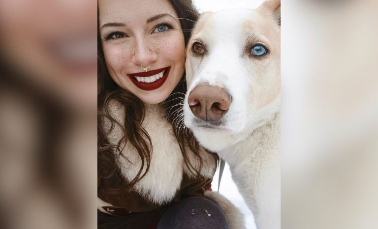 17 Dogs That Look Like Humans (With Photos)