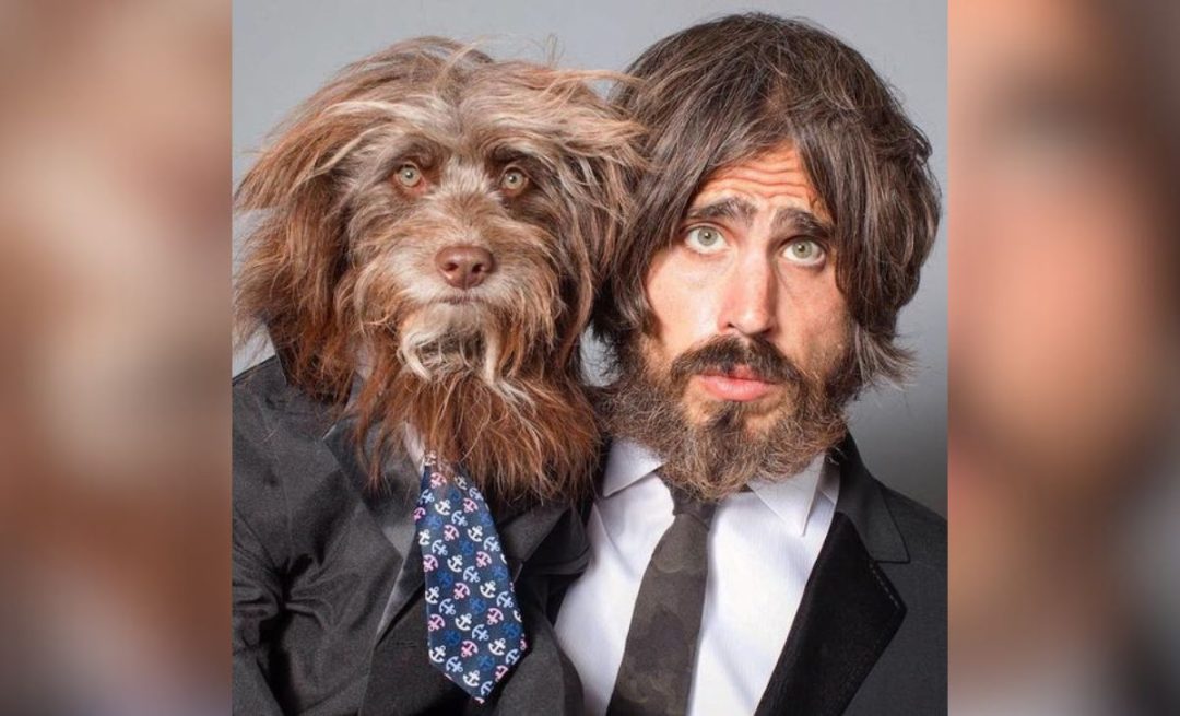 17 Dogs That Look Like Humans (With Photos)