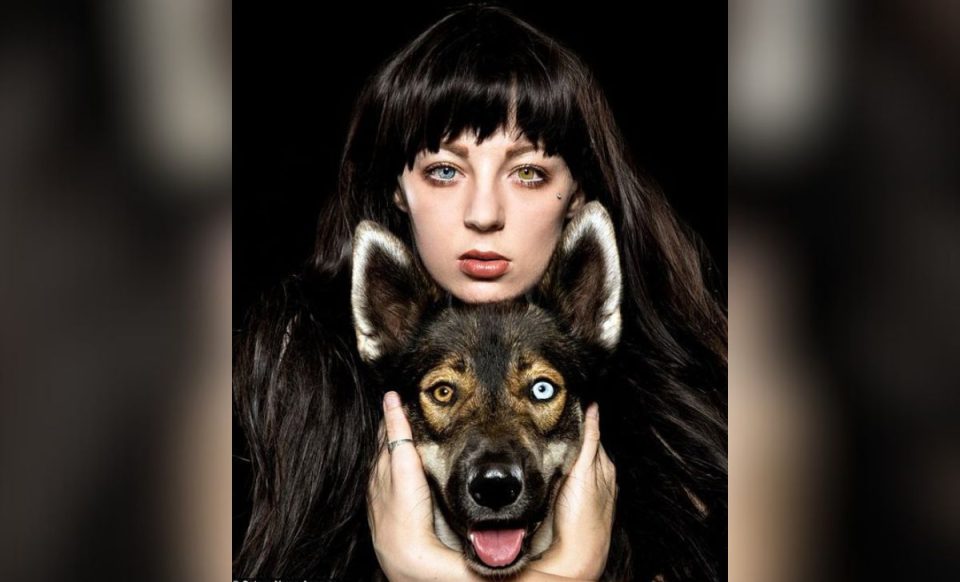 17 Dogs That Look Like Humans (With Photos)