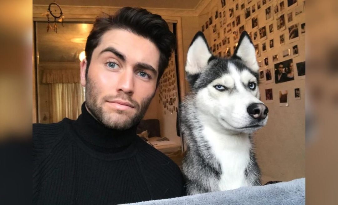 17 Dogs That Look Like Humans (With Photos)