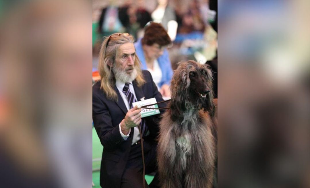 17 Dogs That Look Like Humans (With Photos)