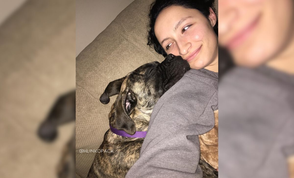 13 Unique Bullmastiff Colors And Markings (With Pictures)