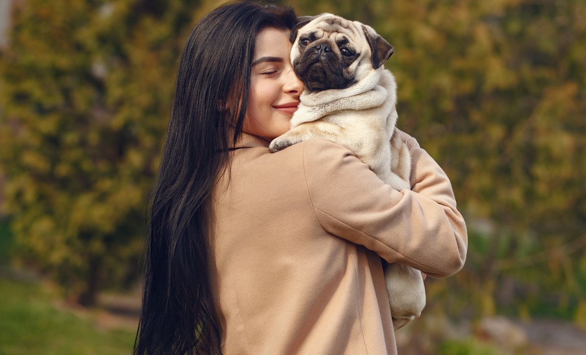 The Only Pug Feeding Chart You'll Need